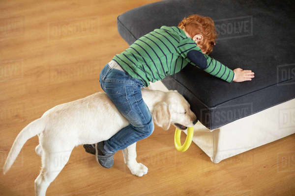 Boy riding on pet puppy - Royalty-free Stock Photo | Dissolve