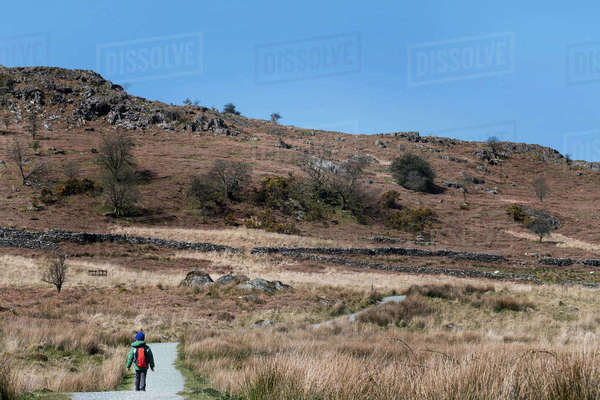 Boy exploring national park, Llanaber, Gwynedd, United Kingdom ...