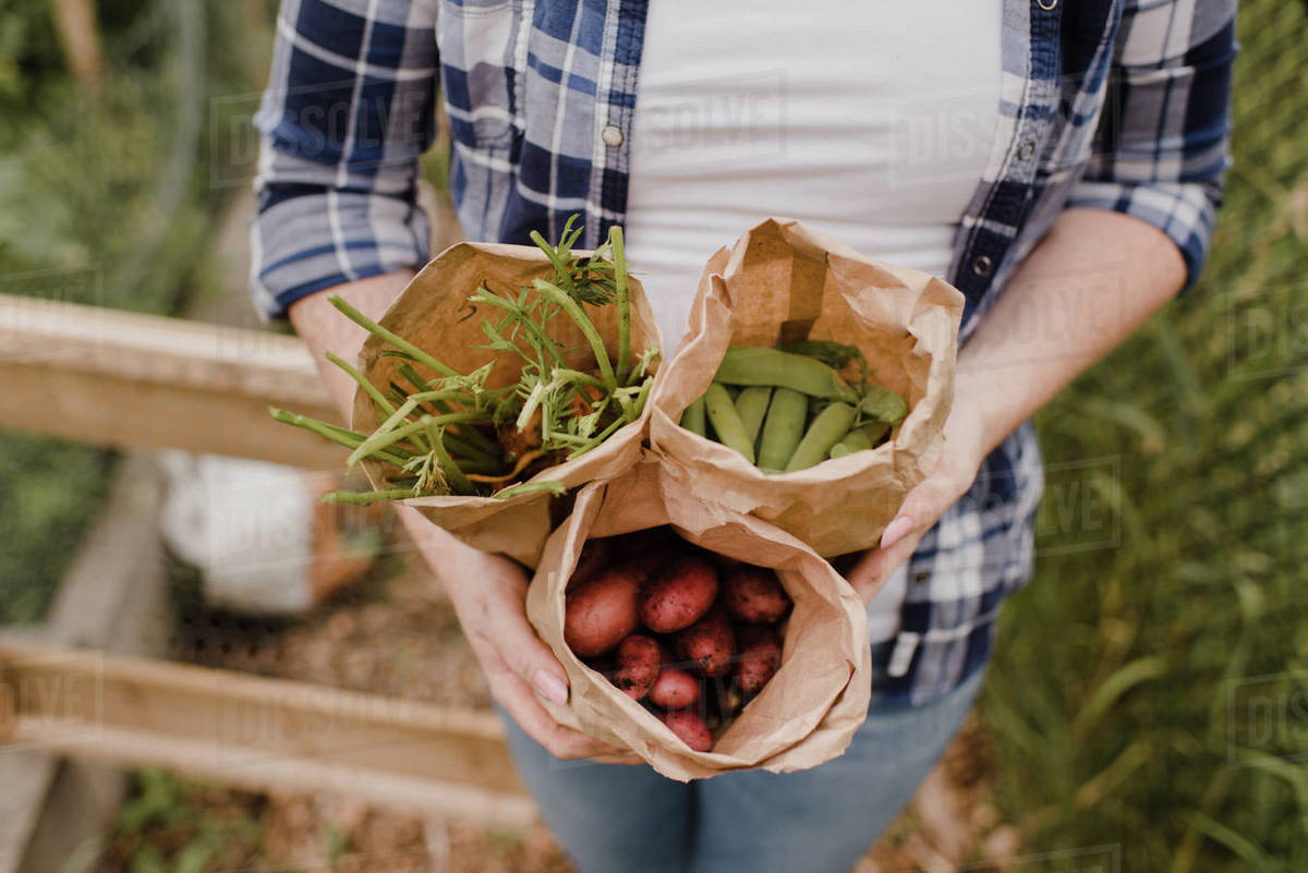 Woman carrying brown bags of vegetable at allotment - Royalty-free ...