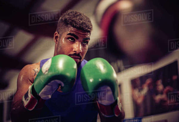 Close up of male boxer wearing green boxing gloves. - Royalty-free ...