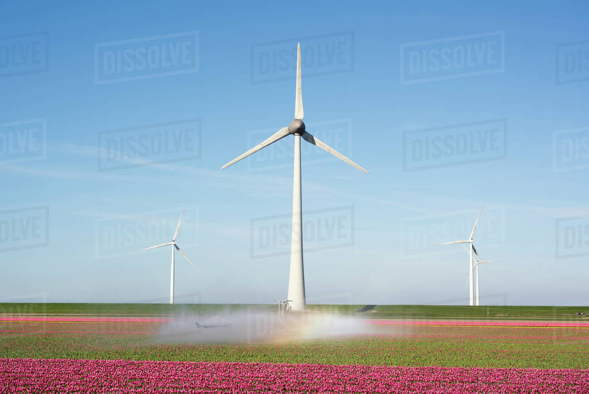 Early morning view of wind turbines and spring fields in coastal area ...