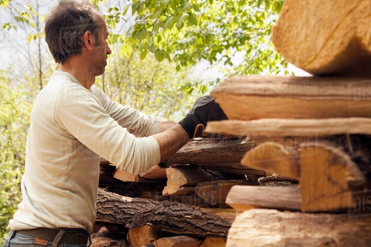 Man stacking cut wood - Royalty-free Stock Photo | Dissolve
