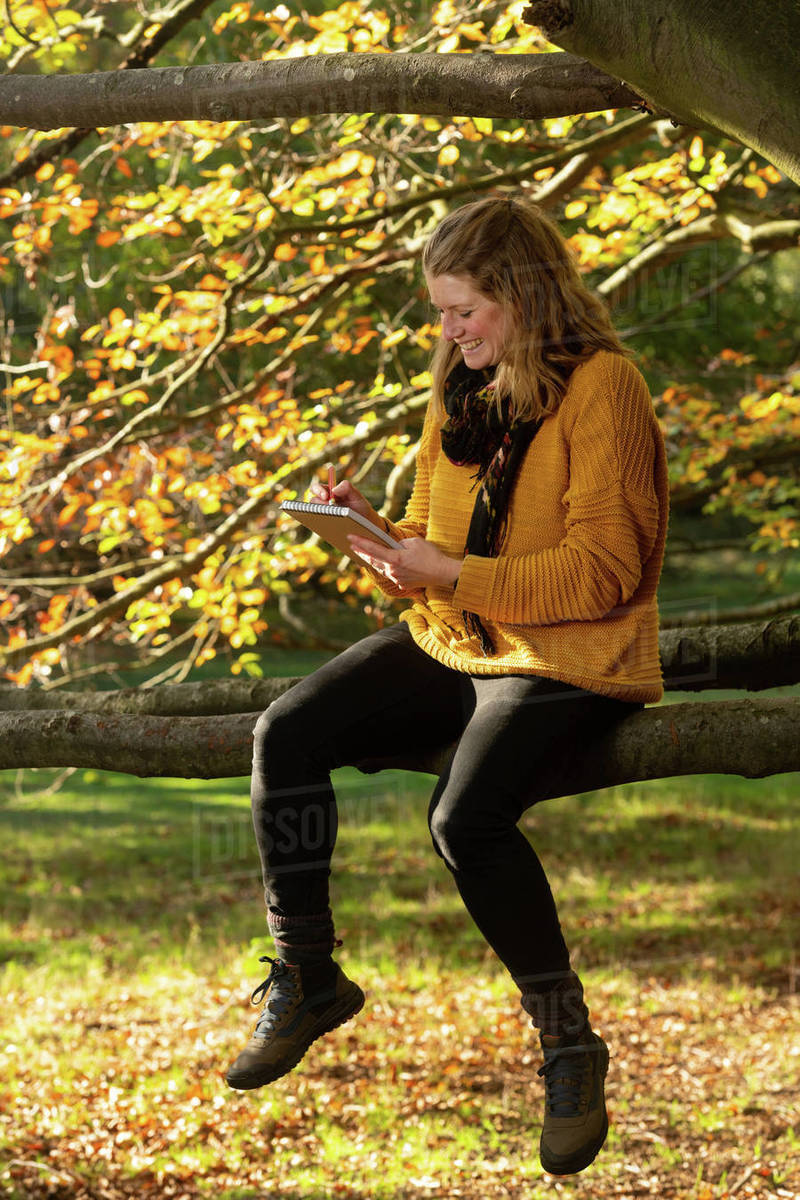 Woman sketching while sitting on tree branch - Royalty-free Stock Photo ...