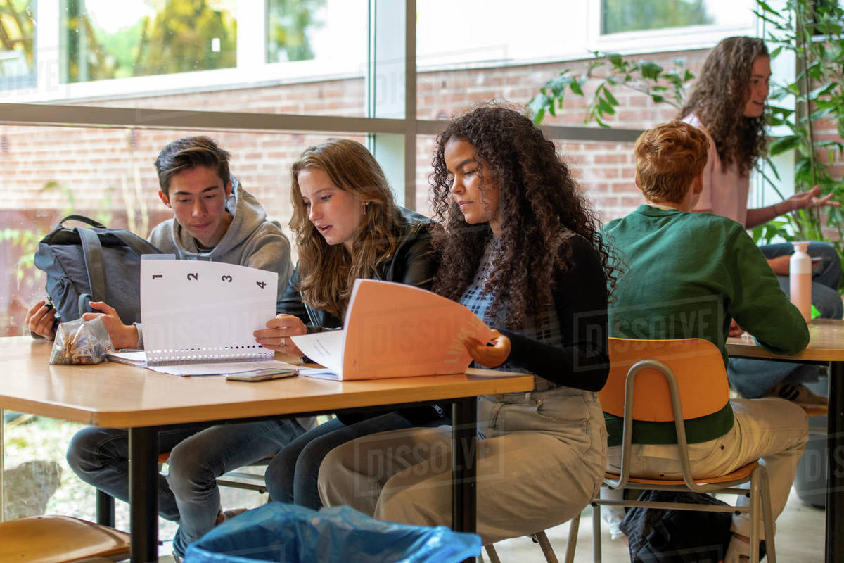 Group of students working on homework - Stock Photo - Dissolve