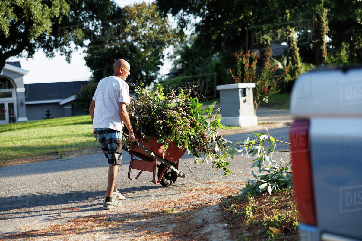 A person hauls a wheelbarrow filled with garden trimmings along a ...