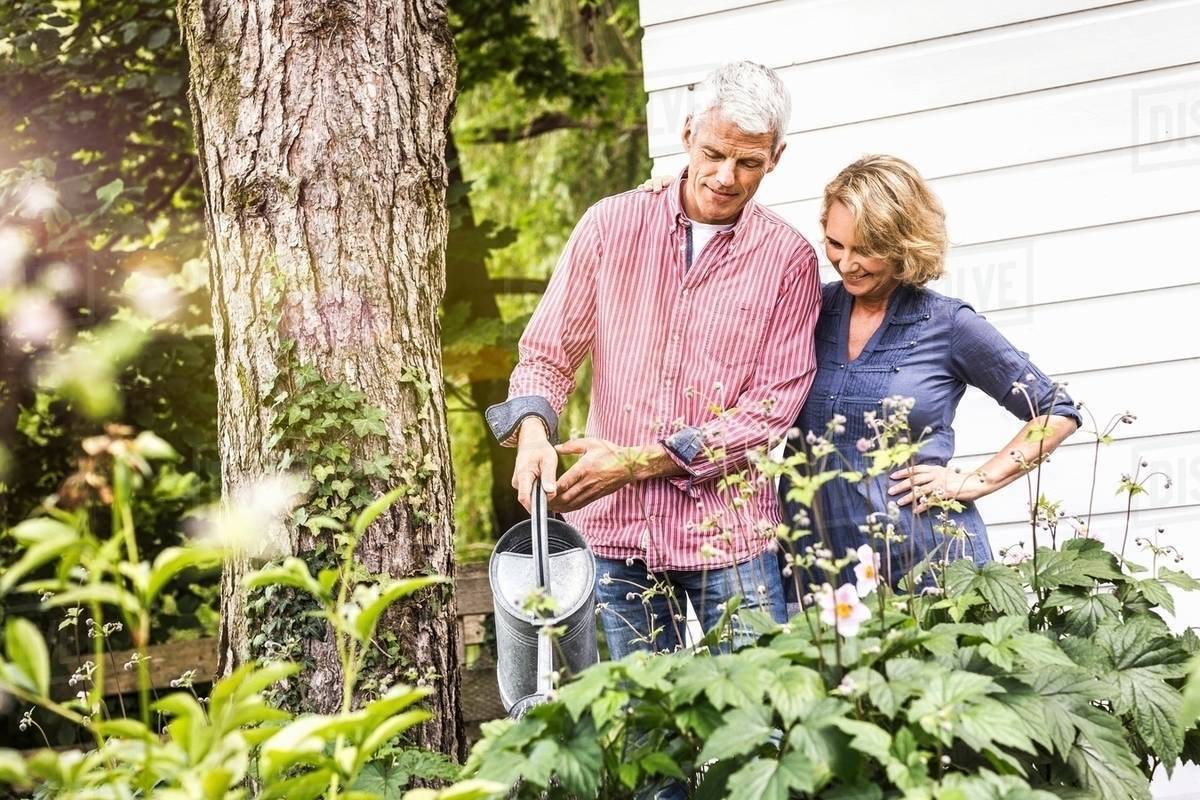 Husband and wife watering plants in garden - Stock Photo - Dissolve