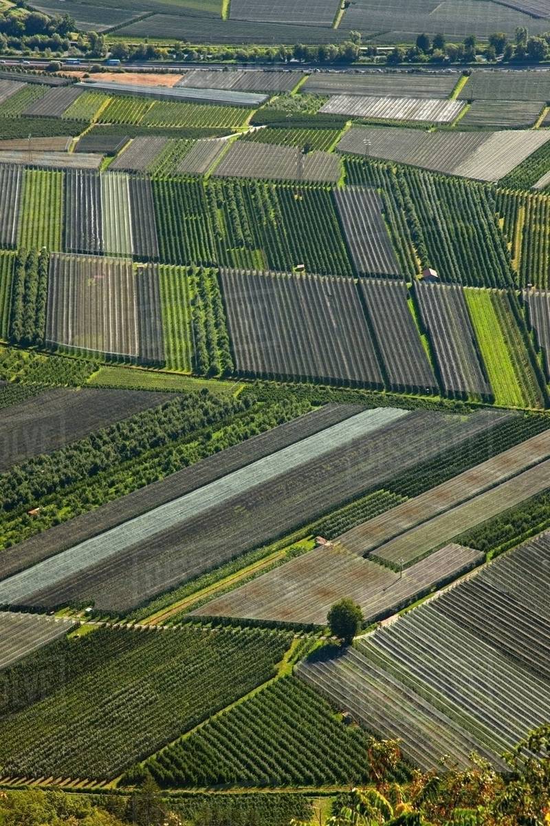 Aerial view of crop fields - Royalty-free Stock Photo | Dissolve