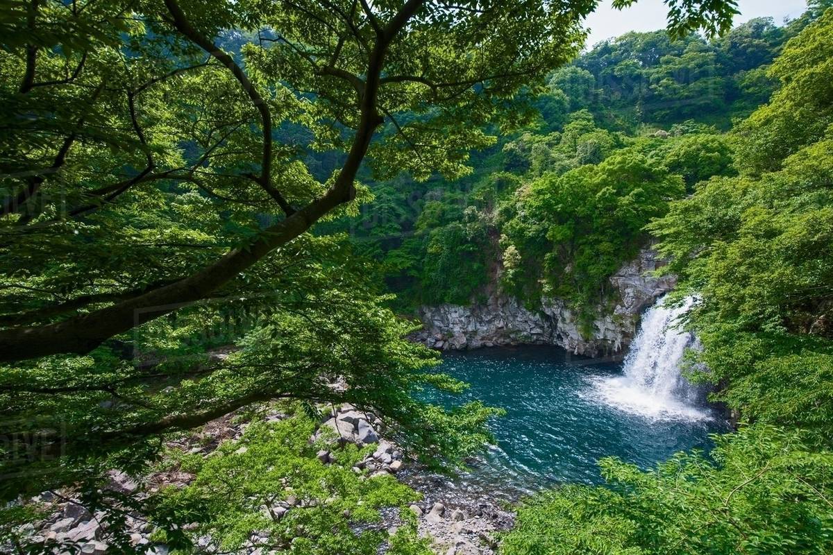 Jeju Island Fall