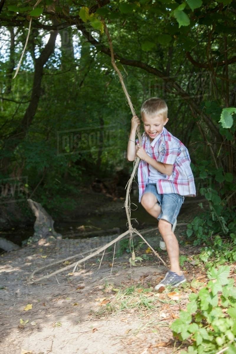 Boy playing on tree swing - Stock Photo - Dissolve
