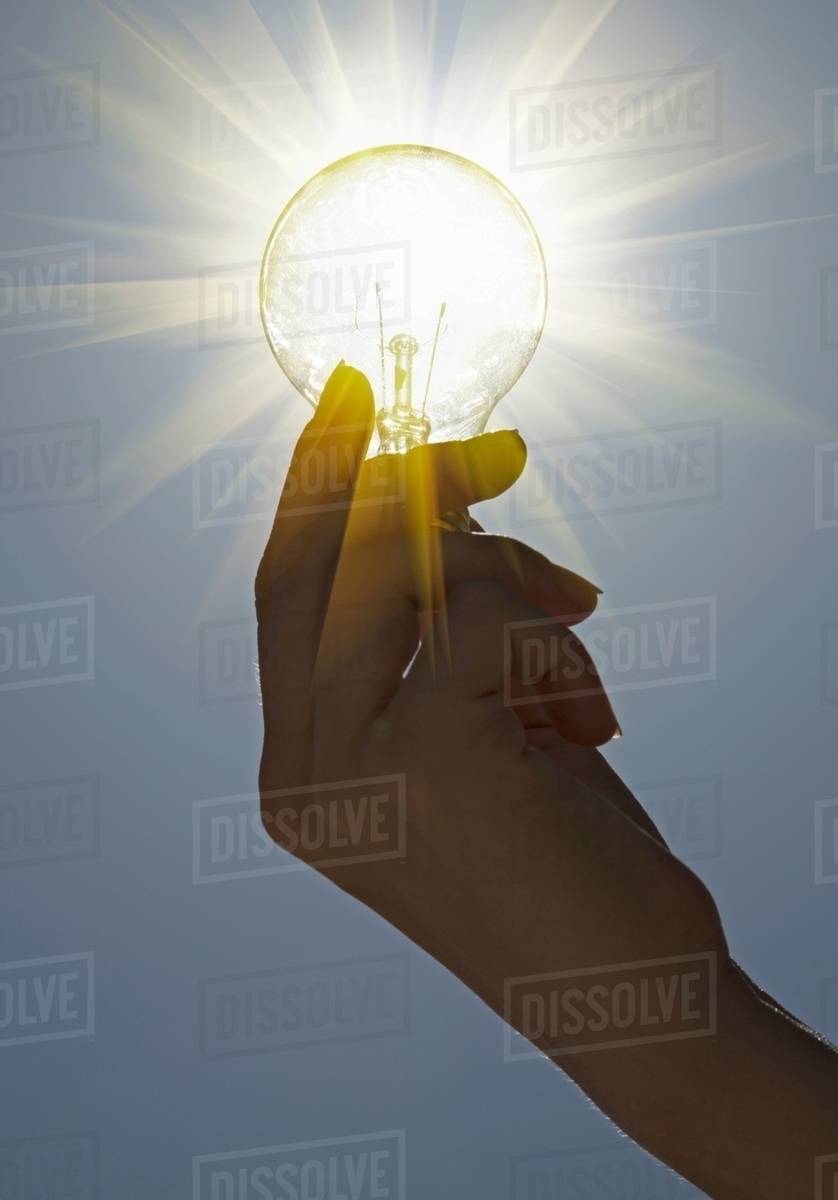 Close up of hand holding light bulb - Stock Photo - Dissolve