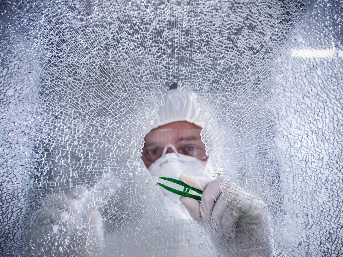 Forensic scientist removing fragment of broken glass with tweezers at ...