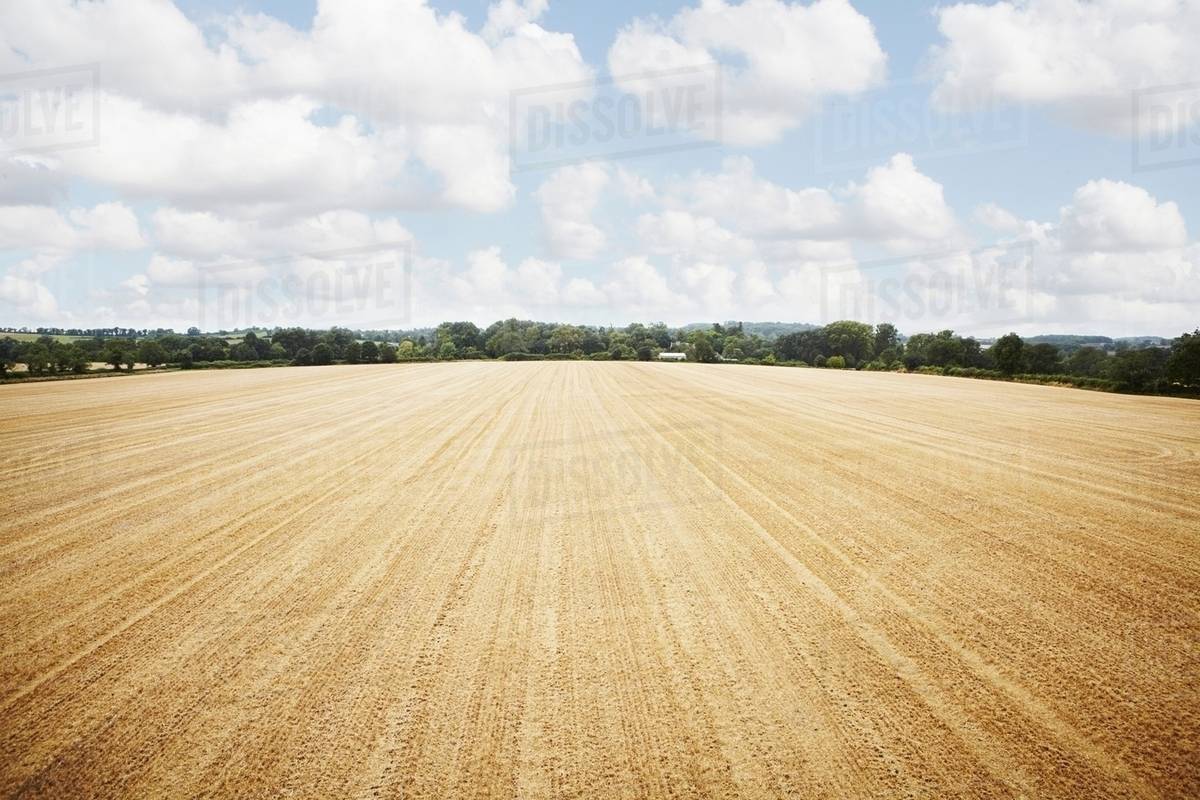 Aerial view in tilled crop field - Royalty-free Stock Photo | Dissolve