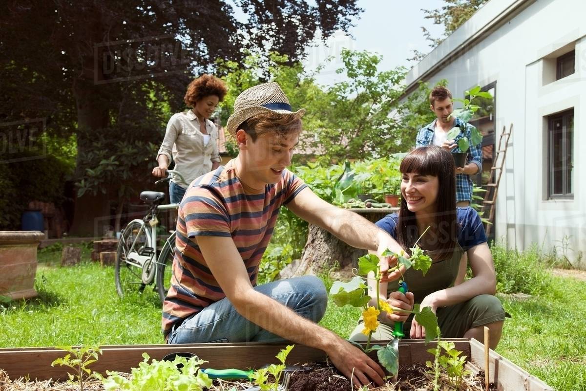 Friends gardening - Royalty-free Stock Photo | Dissolve