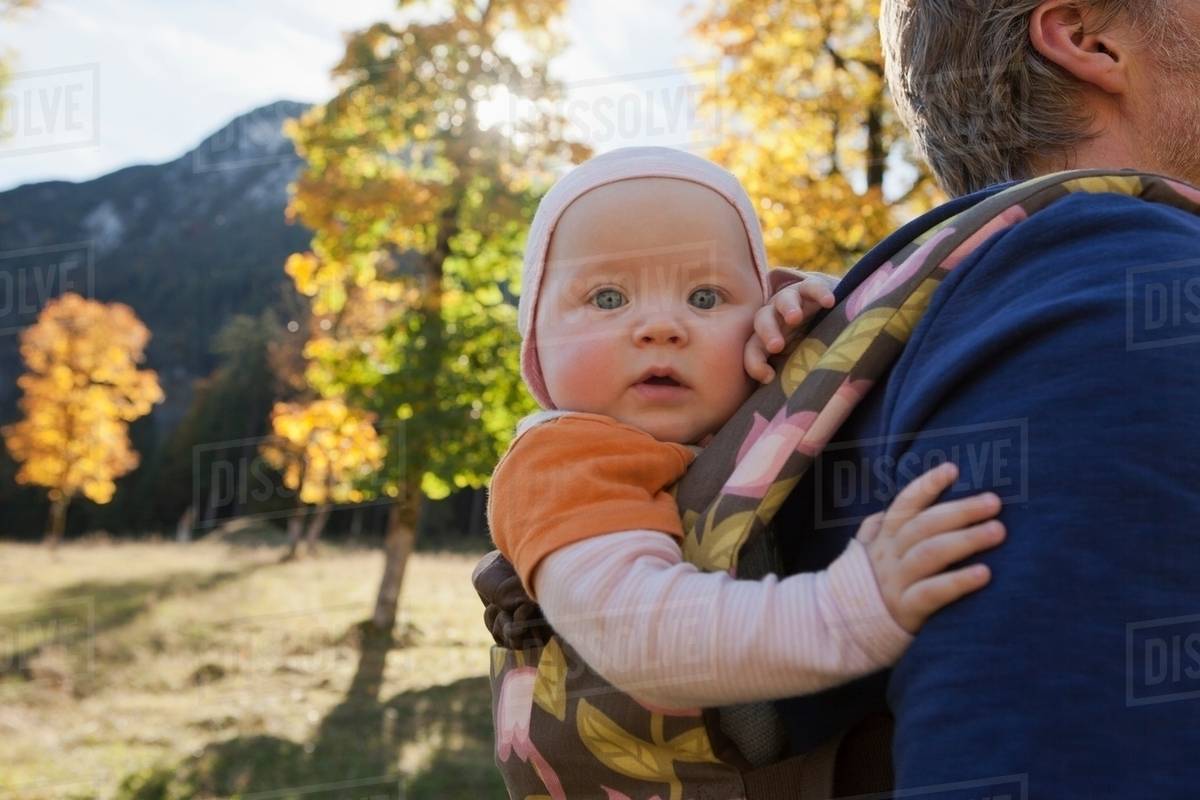 Father carrying baby daughter in carrier - Royalty-free Stock Photo ...