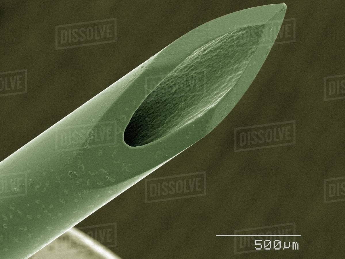 Coloured SEM of syringe - Stock Photo - Dissolve