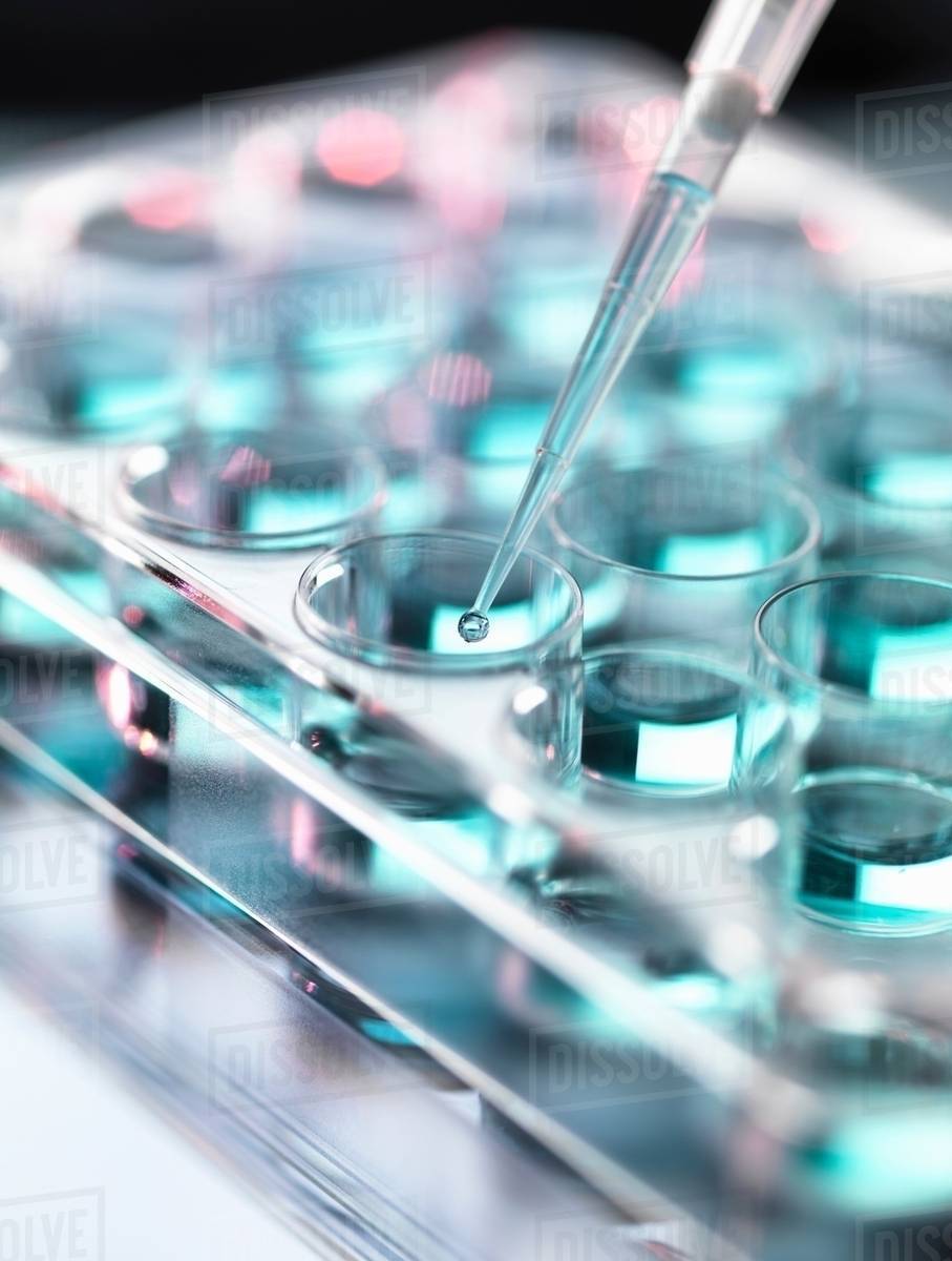 Pipetting sample into multi well tray - Royalty-free Stock Photo | Dissolve