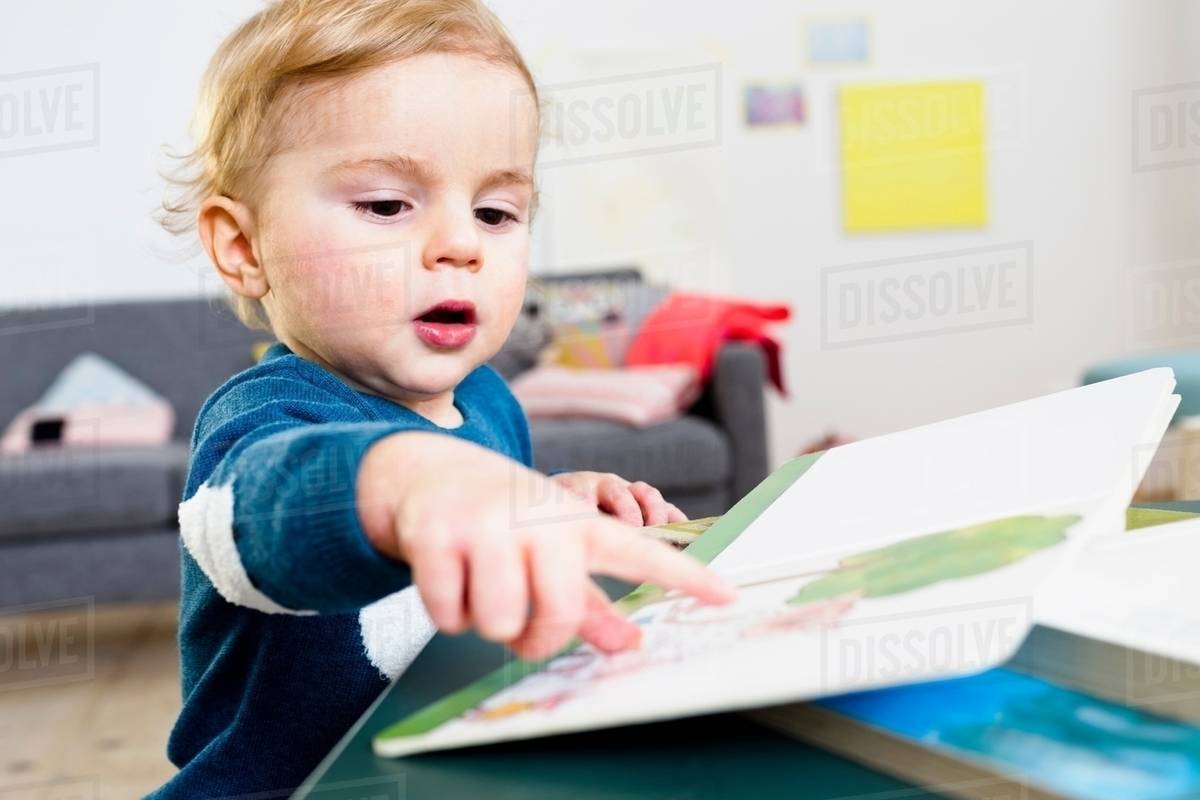 Boy pointing at book - Royalty-free Stock Photo | Dissolve
