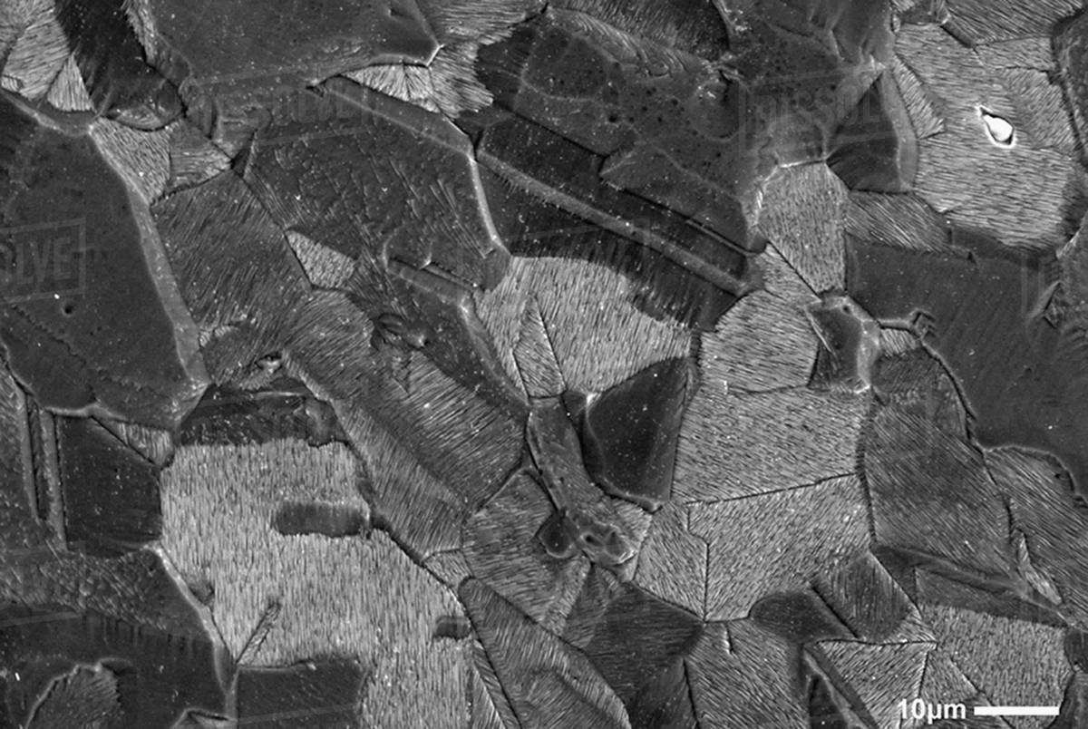 Scanning Electron Micrograph of fracture surface of stainless steel, rouged and etched sample ...