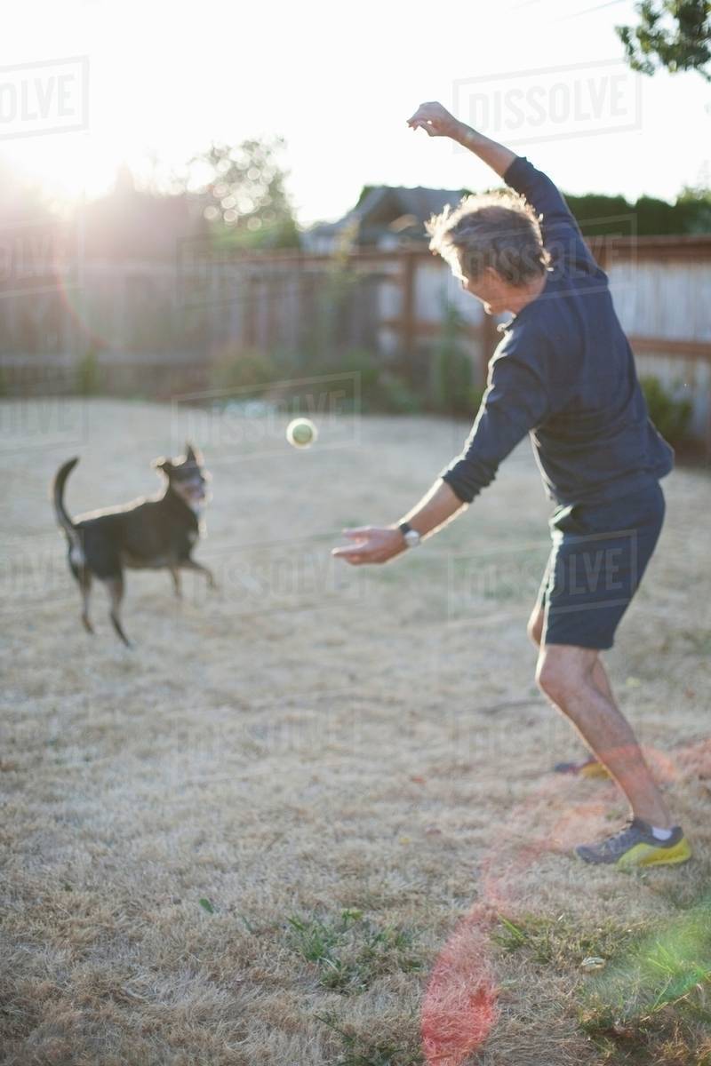Senior Caucasian man plays with a dog - Stock Photo - Dissolve