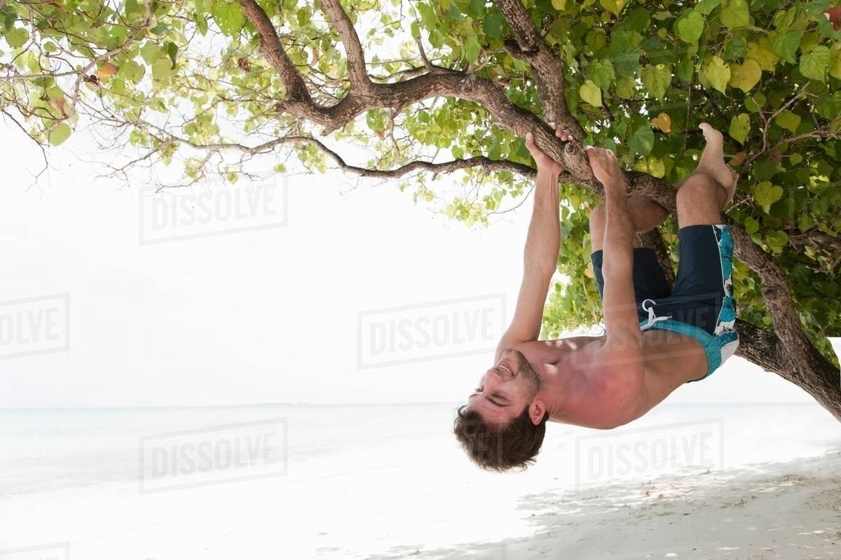 Man climbing tree on tropical beach - Royalty-free Stock Photo | Dissolve