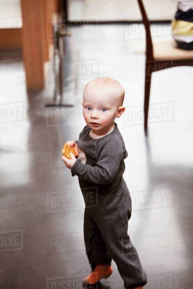 Toddler boy carrying a cookie - Stock Photo - Dissolve