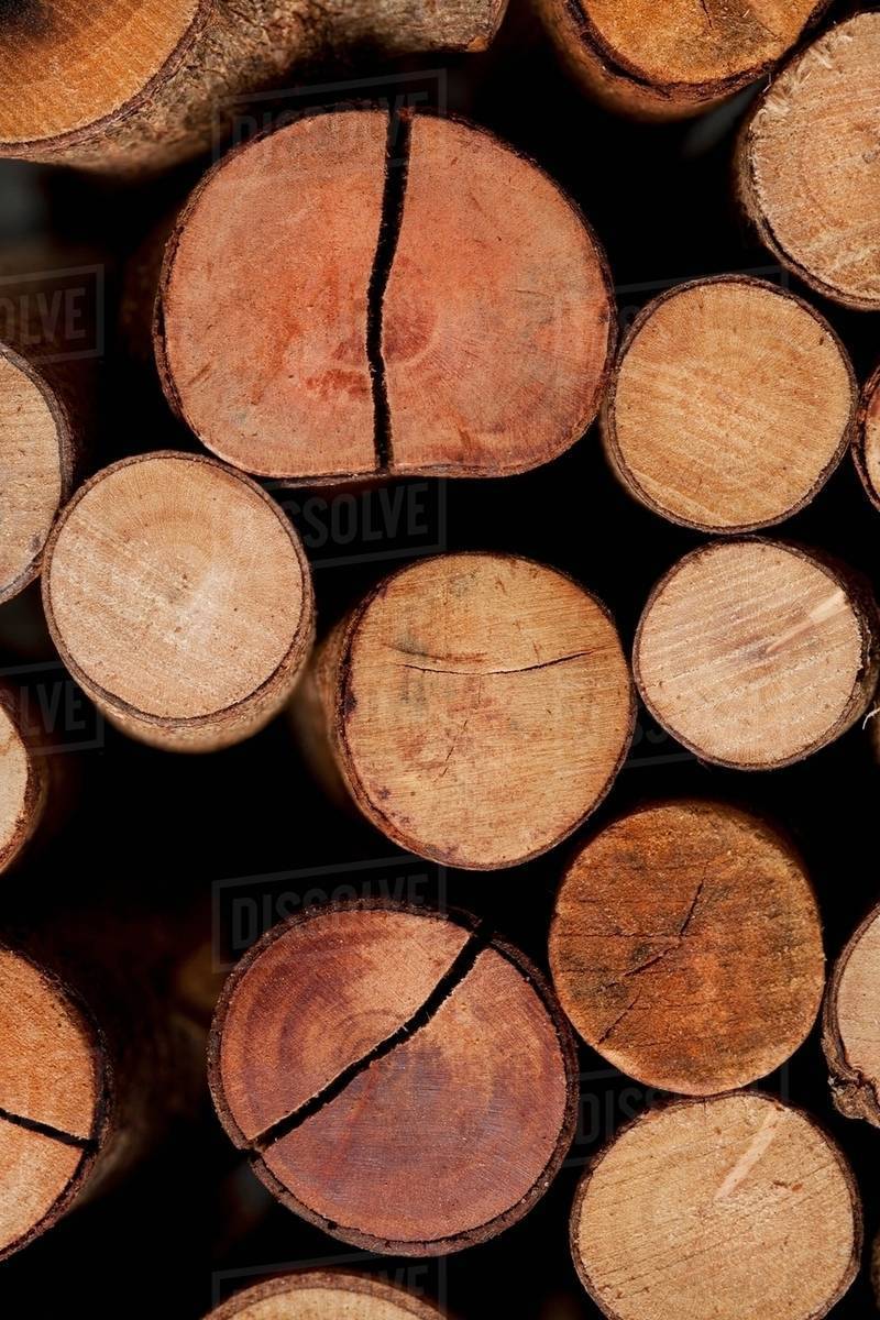Close up of stacked logs - Royalty-free Stock Photo | Dissolve