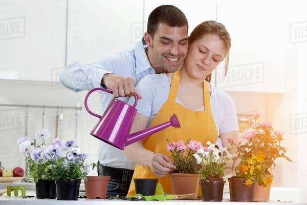 Couple watering potted plants indoors - Royalty-free Stock Photo | Dissolve