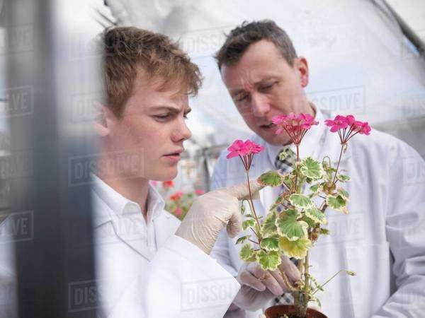 Student and teacher observing flowers in school greenhouse laboratory ...