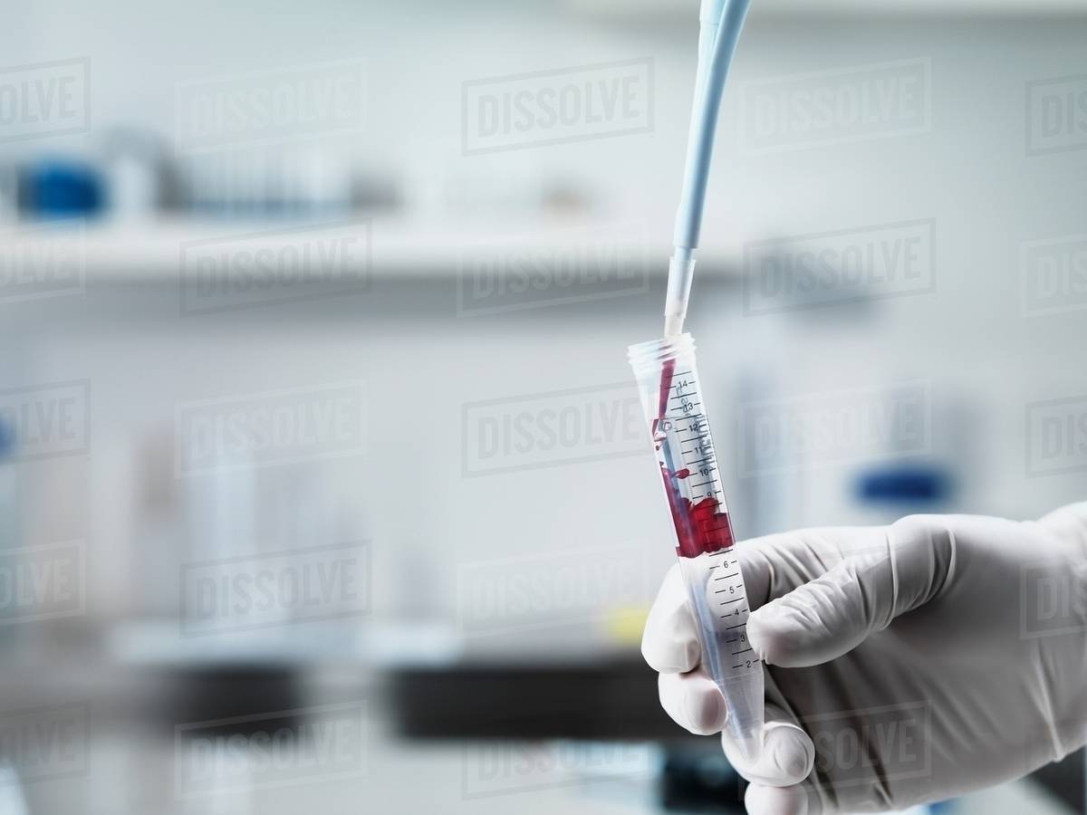 Scientist pipetting liquid in test tube - Royalty-free Stock Photo ...