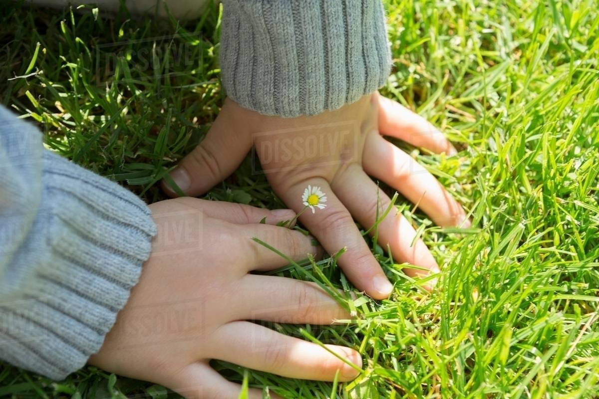 Hands touching grass - Royalty-free Stock Photo | Dissolve