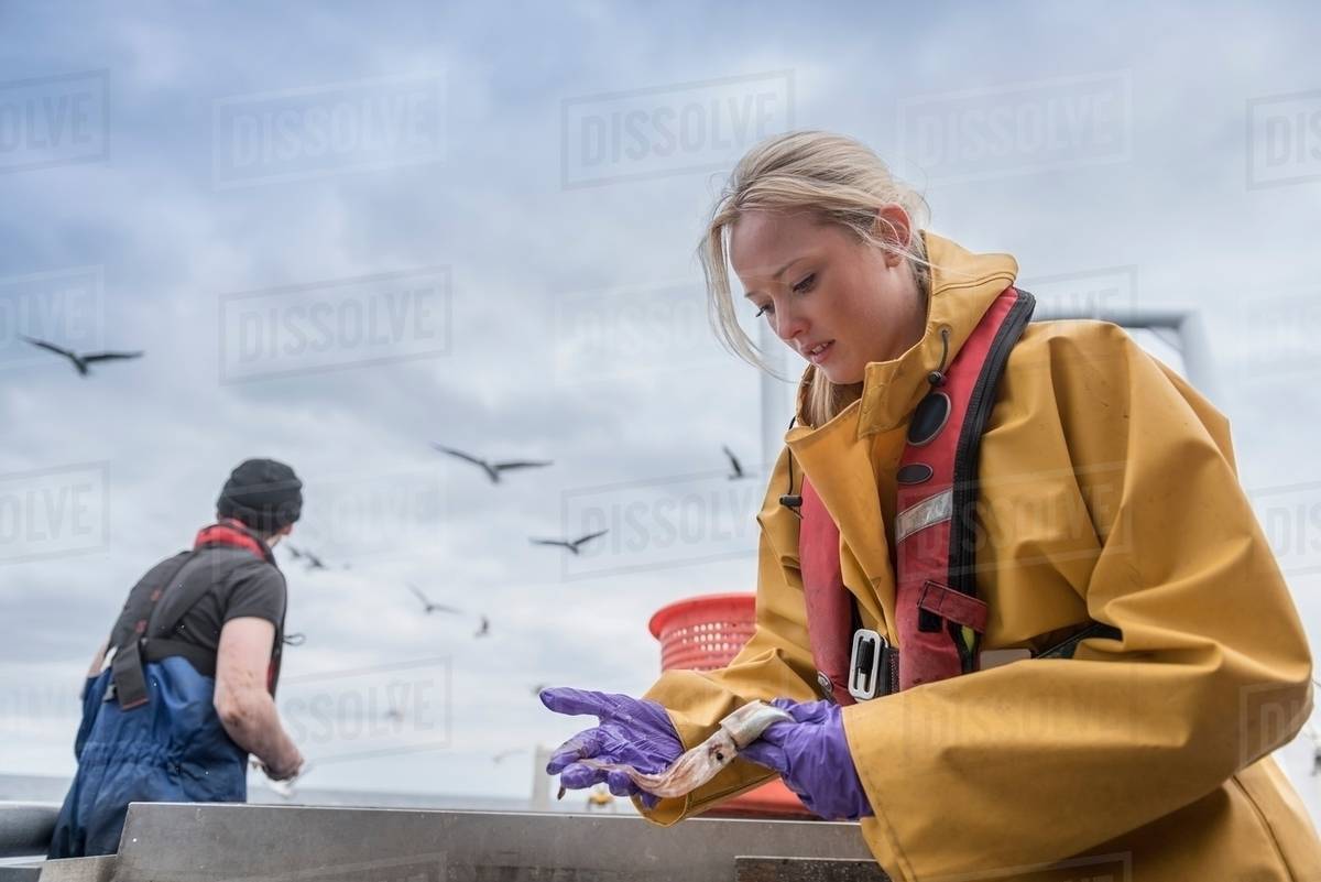 Research scientists measuring fish on research ship - Stock Photo ...