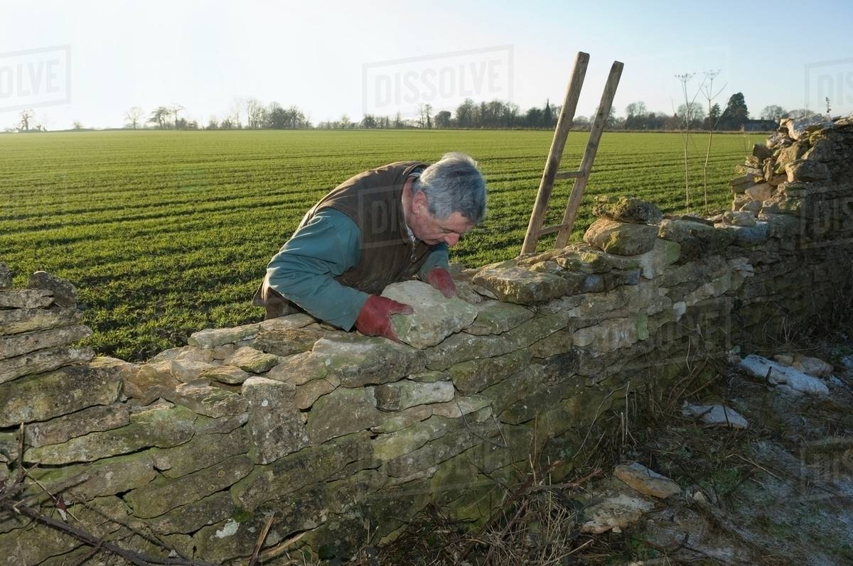 Man building wall - Stock Photo - Dissolve