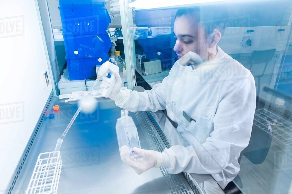 Cancer research laboratory, scientist dispensing cells with electronic ...