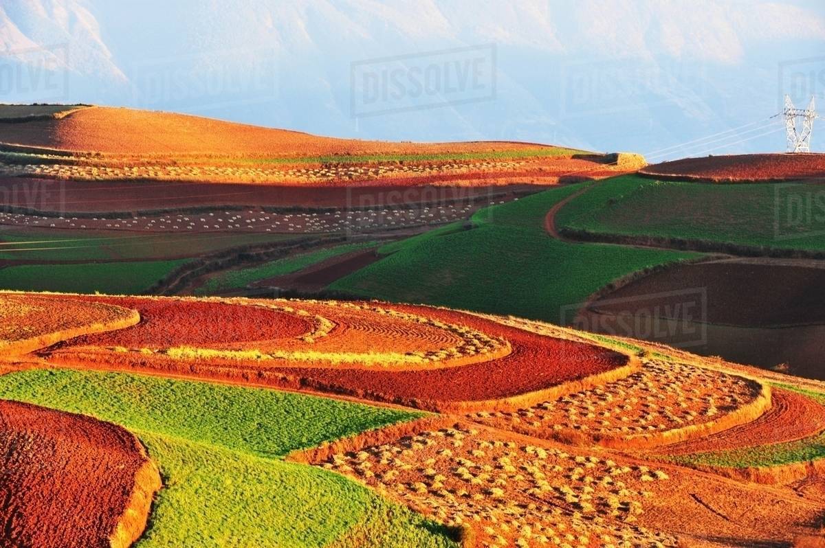 Colourful fields, Yunnan, China. - Royalty-free Stock Photo | Dissolve