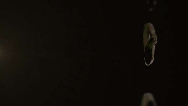 Cinematic scratches and damaged movie reel film effects. - Stock Video ...