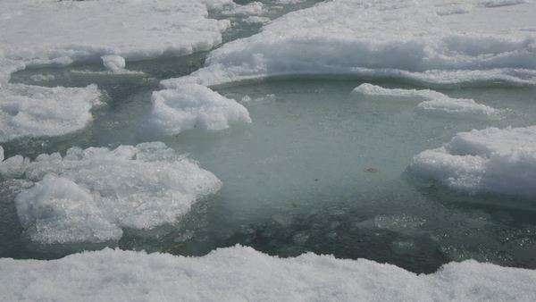Puddle of melted ice water in the Arctic ice fields. - Stock Video ...