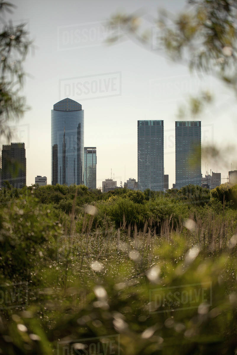Buildings arise behind field - Royalty-free Stock Photo | Dissolve