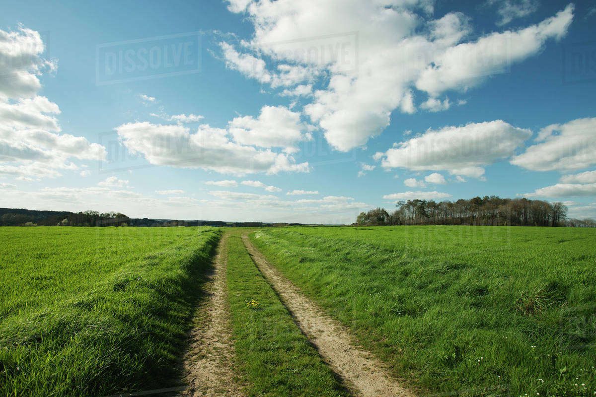 Dirt road through countryside, Guilliers, Brittany, France - Royalty ...