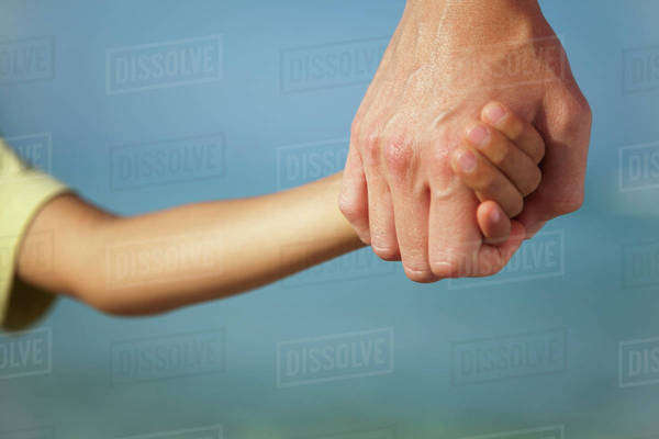 Adult holding child's hand, cropped - Stock Photo - Dissolve
