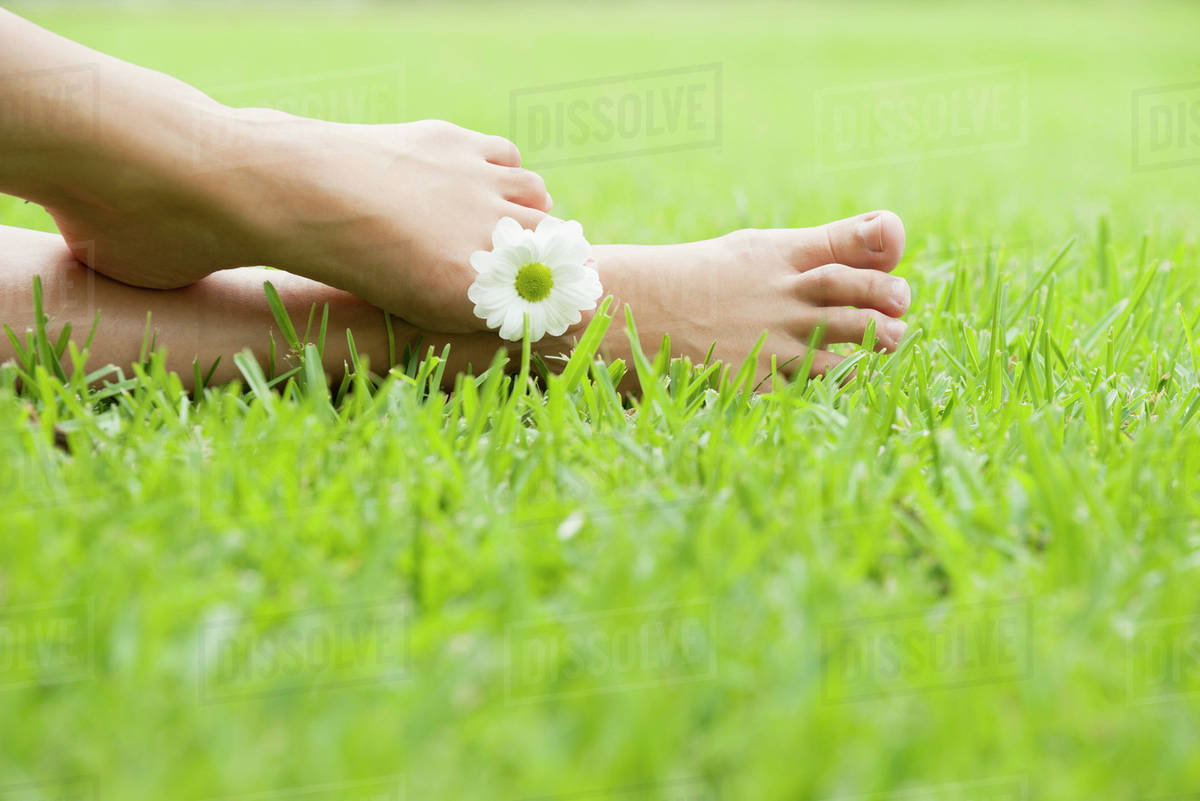 Holding flower between toes - Royalty-free Stock Photo | Dissolve