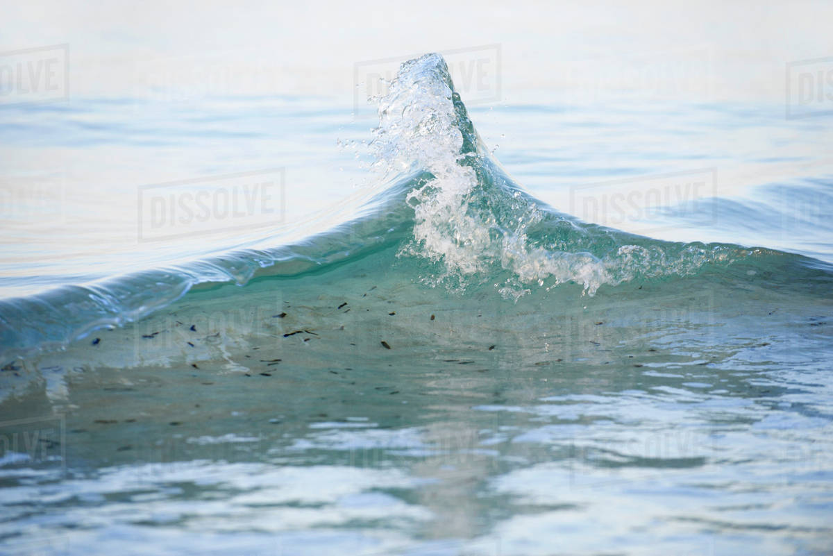 Ocean wave, full frame - Royalty-free Stock Photo | Dissolve