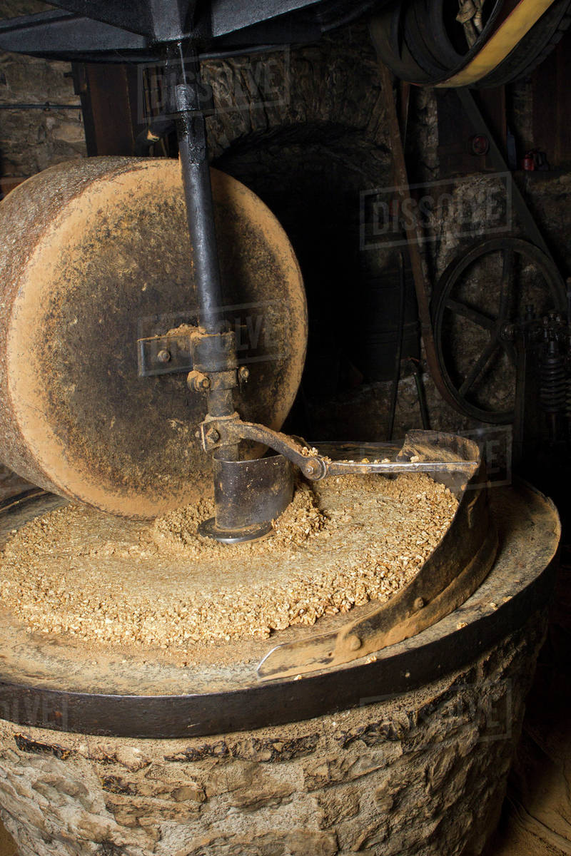 Milling machine grinding walnuts - Royalty-free Stock Photo | Dissolve