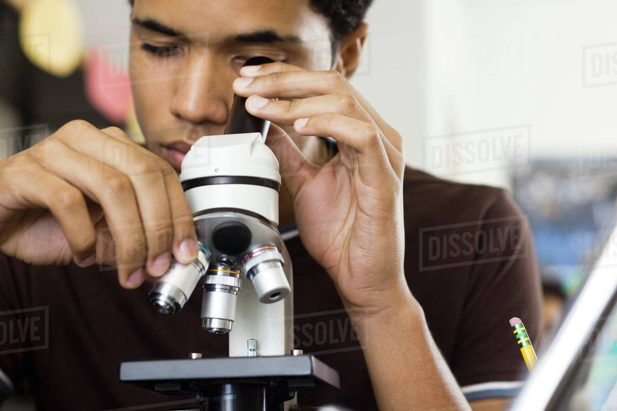 Student looking through microscope - Royalty-free Stock Photo | Dissolve