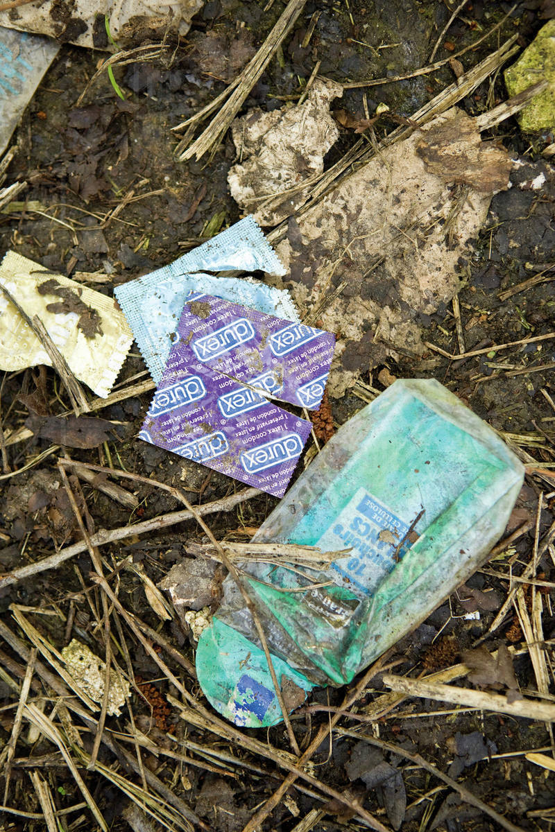 Litter, close-up - Royalty-free Stock Photo | Dissolve