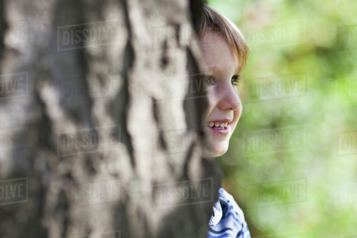 Boy behind tree - Stock Photo - Dissolve