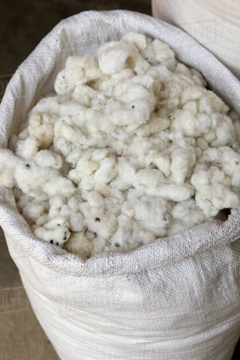 Bag of cotton - Stock Photo - Dissolve