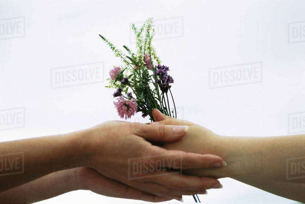 Adult handing young person bouquet of wildflowers, close-up - Royalty ...