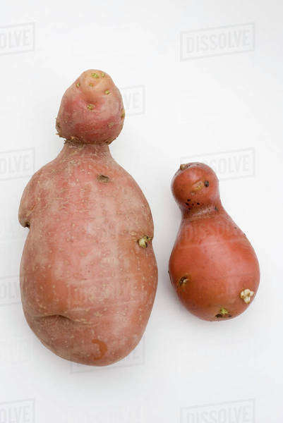 Strangely shaped red potatoes - Royalty-free Stock Photo | Dissolve