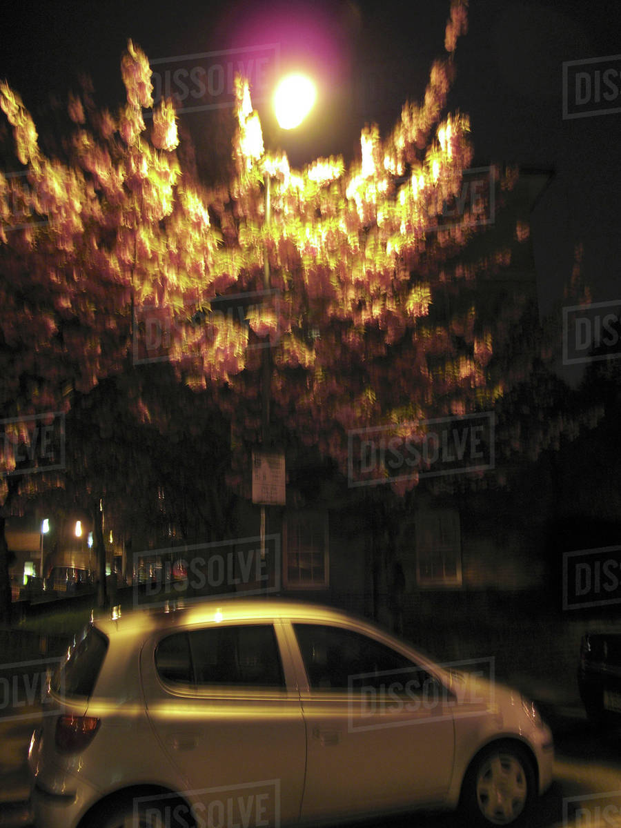 Car parked under street lamp at night - Royalty-free Stock Photo | Dissolve