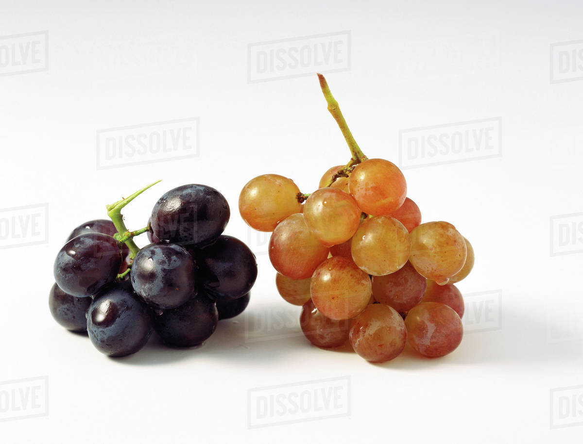 Purple and red grapes, close-up - Stock Photo - Dissolve